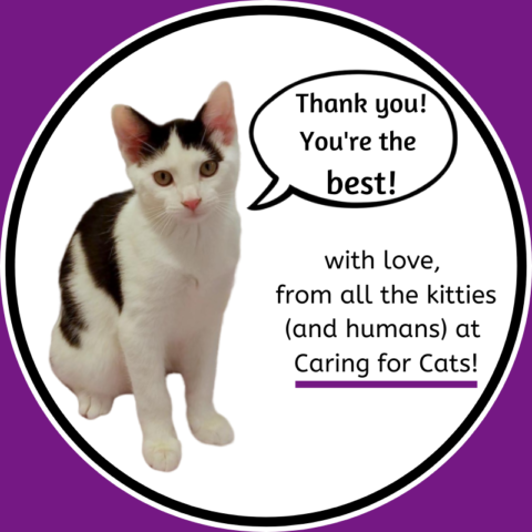 Donate - Caring for Cats